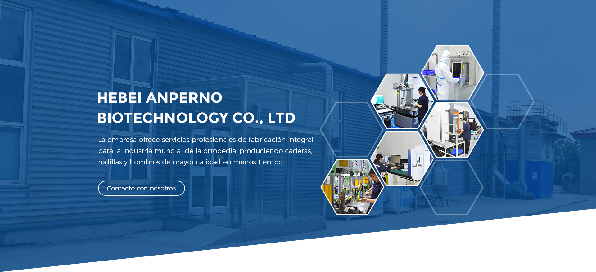 Piezas de fundición, cóndilos femorales